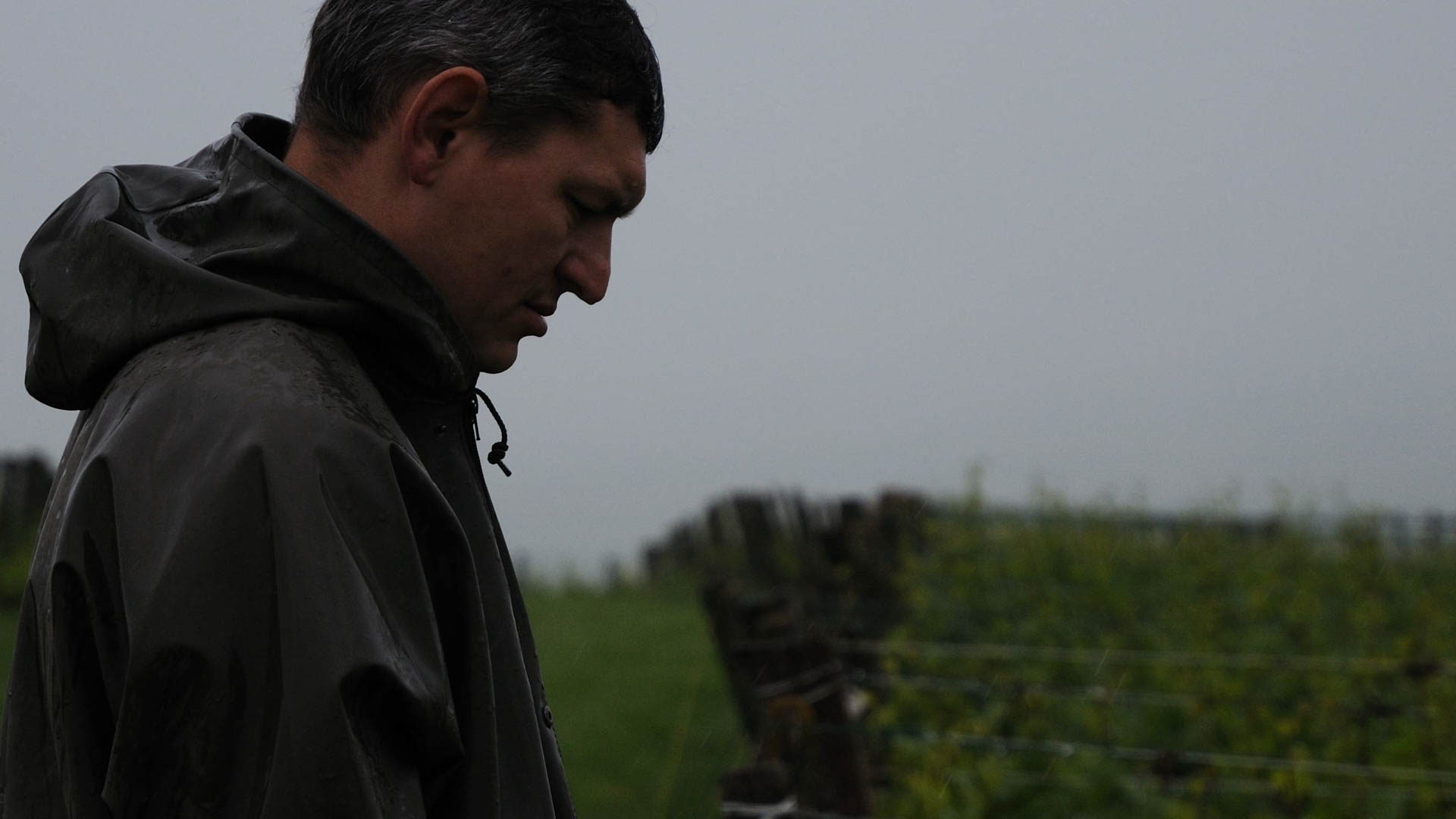 Emmanuel Lassaigne | Champagne Jacques Lassaigne - Oenopole