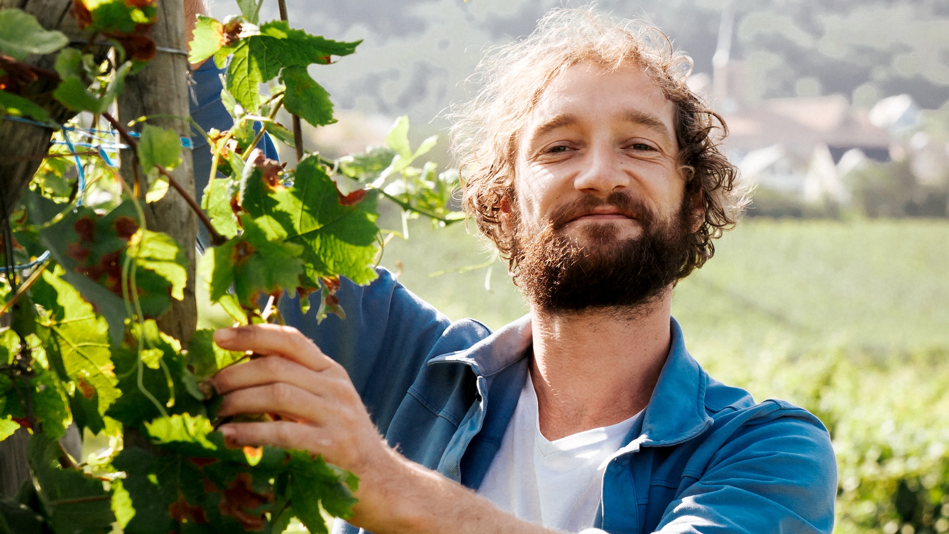 Pierre Weber | Pierre Weber - Oenopole